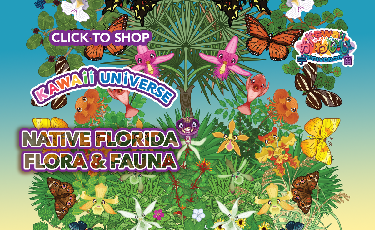 Kawaii Designs With Native Florida Animals | Kawaii Universe